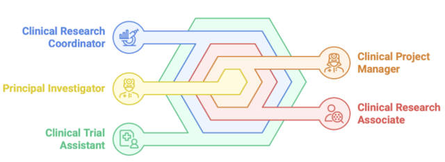 MS in Clinical Research Degree: What You’ll Learn and Where It Leads